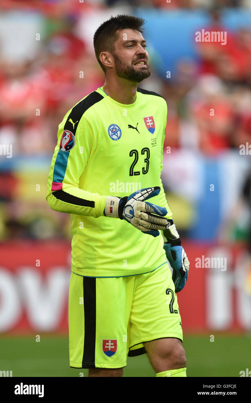Slovakia goalkeeper Matus Kozacik during the UEFA Euro 2016, Group B ...