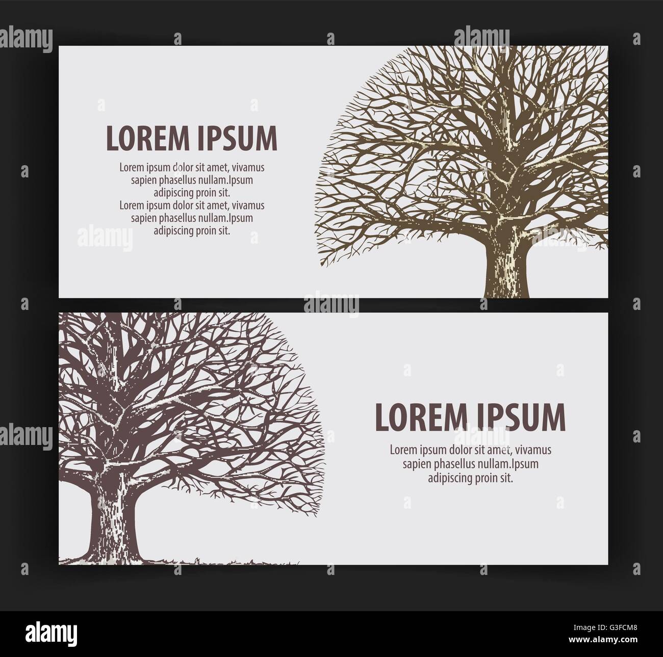 leafless tree. ecology, nature banner. hand-drawn vector old oak Stock ...