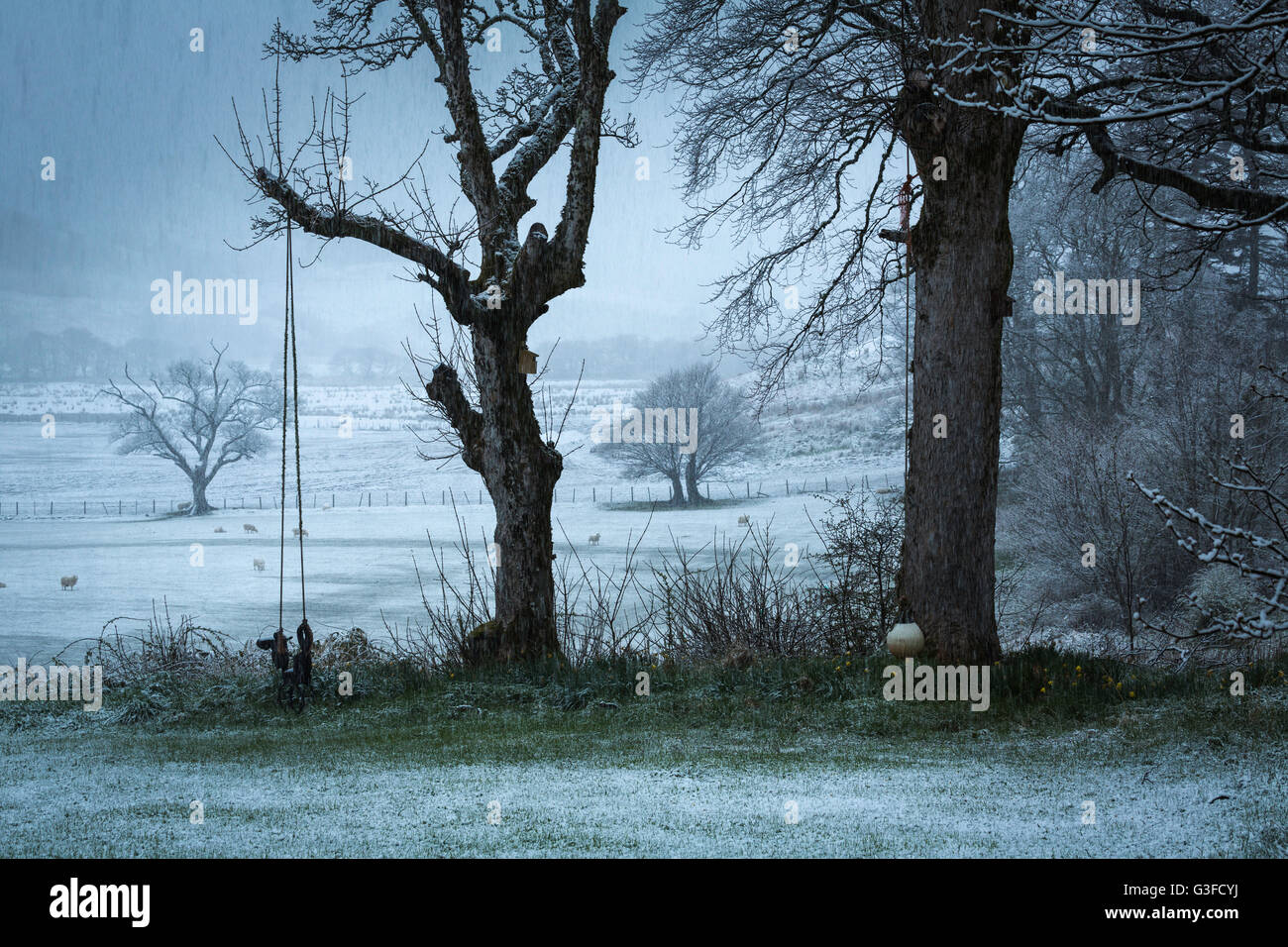 Heavy snow falling hi-res stock photography and images - Alamy