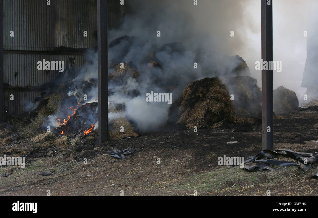Farnham, Surrey, UK. 10th June, 2016. Fire crews from stations across ...