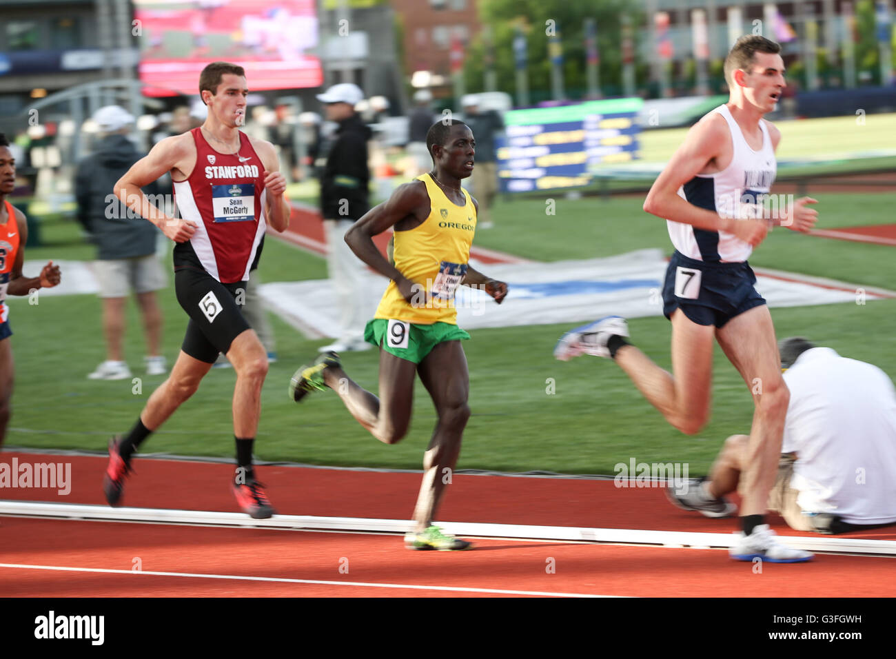 Edward cheserek hi-res stock photography and images - Alamy