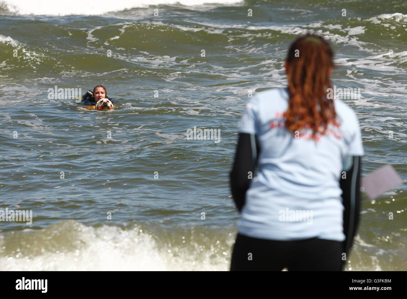 Gdansk, Poland. 11th June, 2016. Dozen rescue dogs took part in the 2nd ...