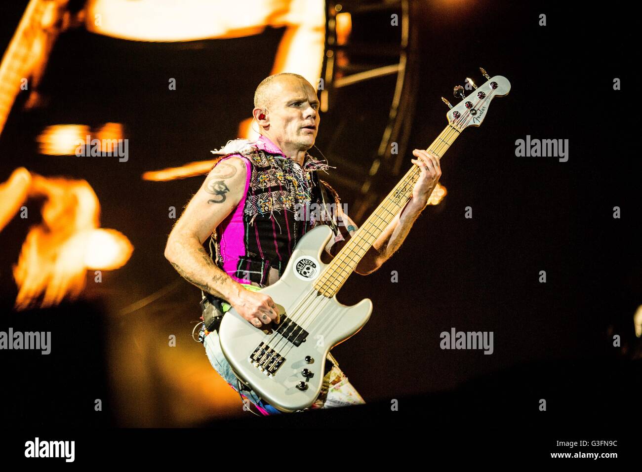 Flea of the american funk rock band Red Hot Chili Peppers pictured on ...
