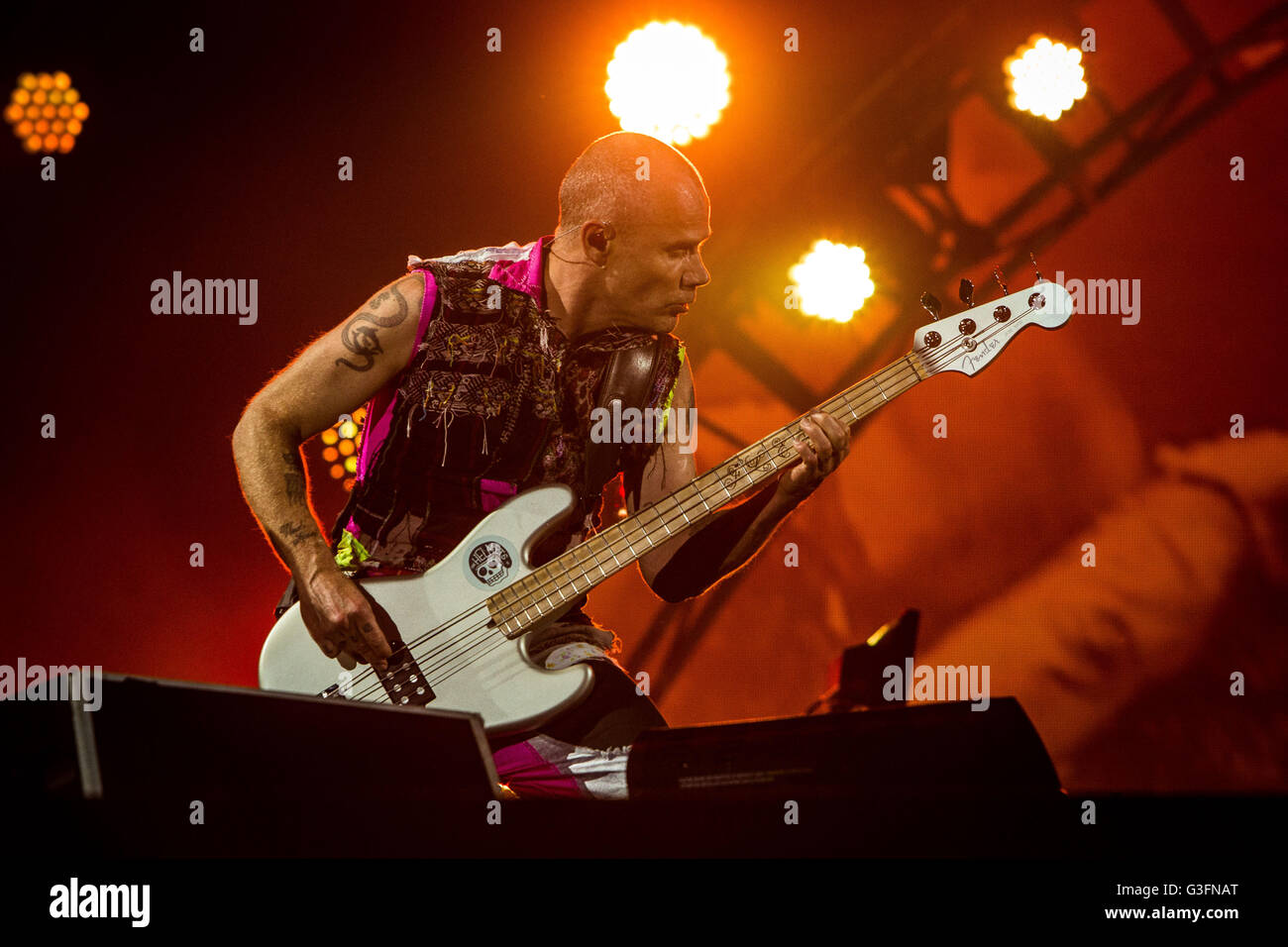 Flea of the american funk rock band Red Hot Chili Peppers pictured on ...