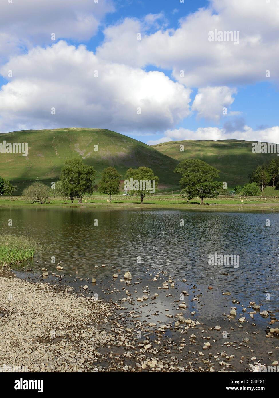 Yarrow Valley Summer Scotland High Resolution Stock Photography and ...