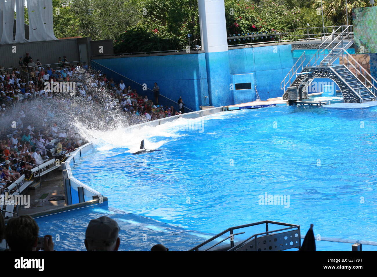 Audience at dolphin show hi-res stock photography and images - Alamy