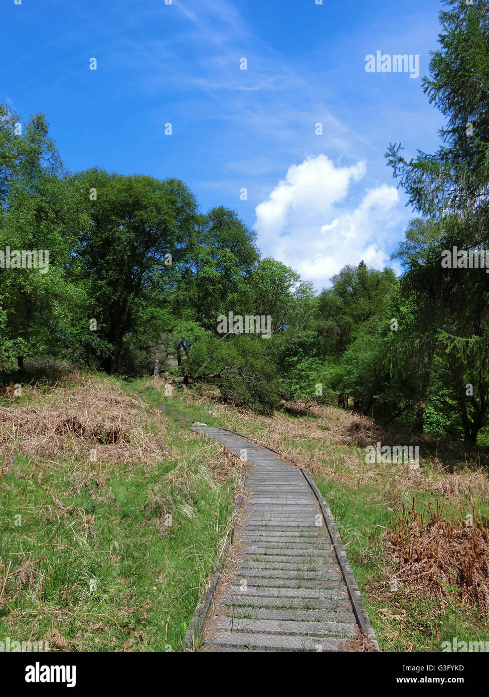 Craigengillan scotland hi-res stock photography and images - Alamy