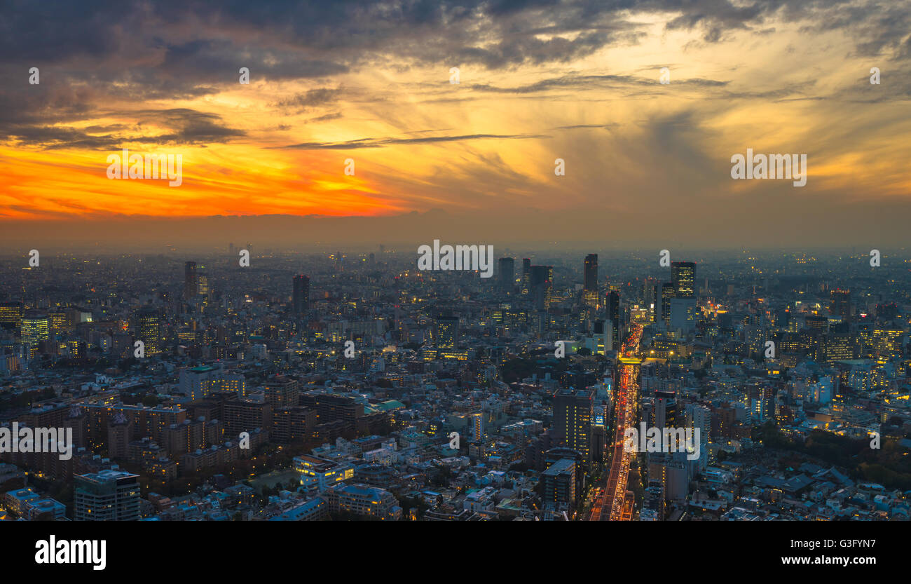 Tokyo sunset aerial panoramic view Stock Photo - Alamy