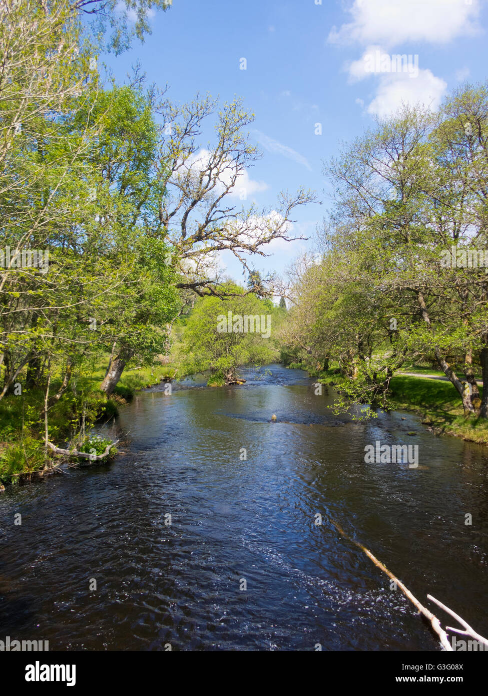 Ayrshire rivers hi-res stock photography and images - Alamy