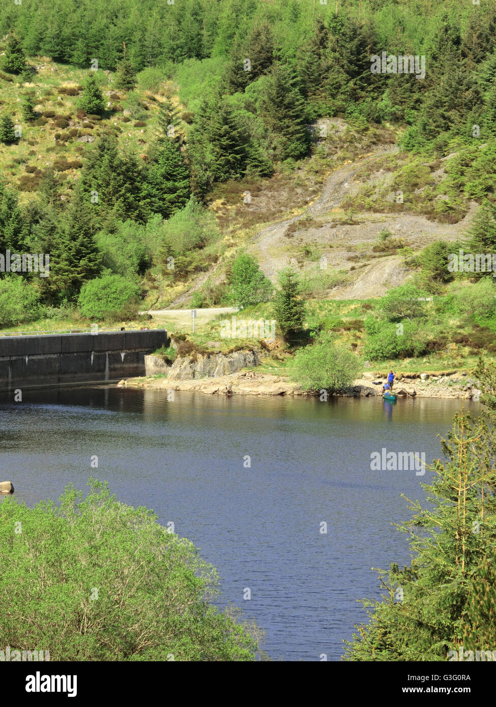 Loch Bradan, Carrick Forest, Galloway Forest National Park, South ...