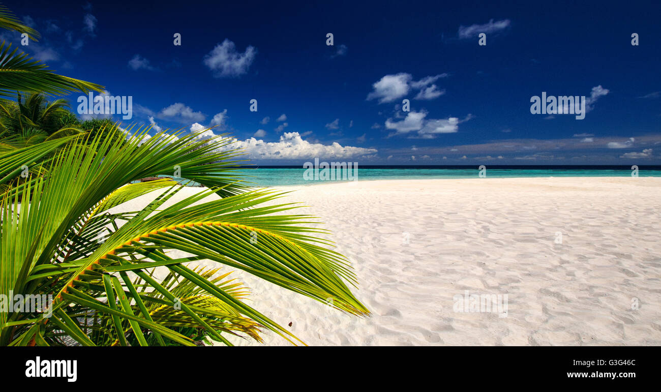 Tropical white sand beach, wide panorama view Stock Photo - Alamy