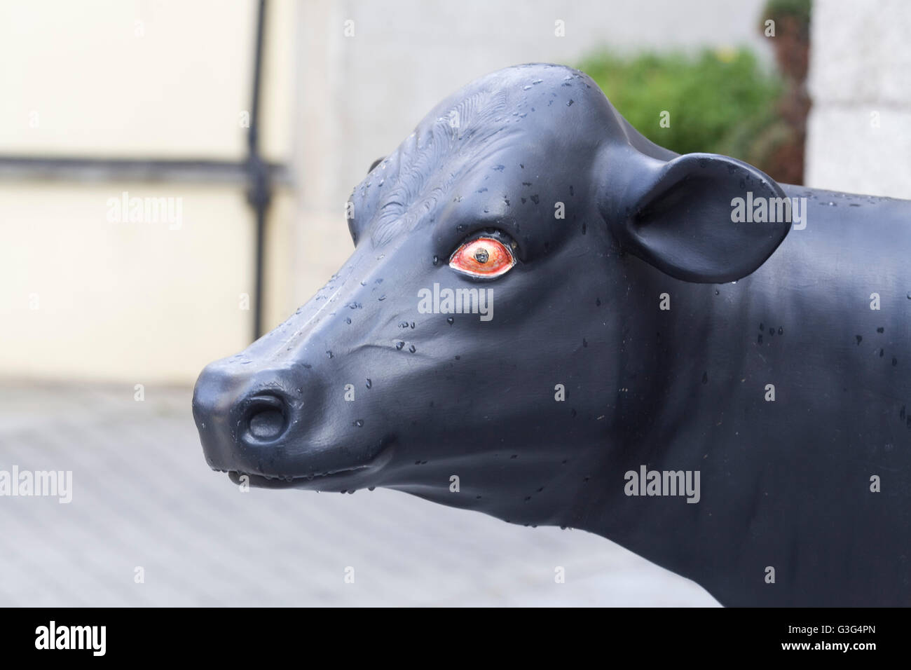 Life Size Model Of Cow High Resolution Stock Photography and Images - Alamy