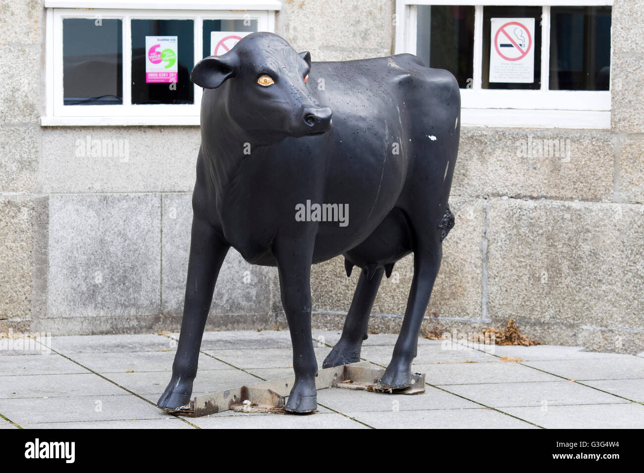 Artistic cow model hi-res stock photography and images - Alamy