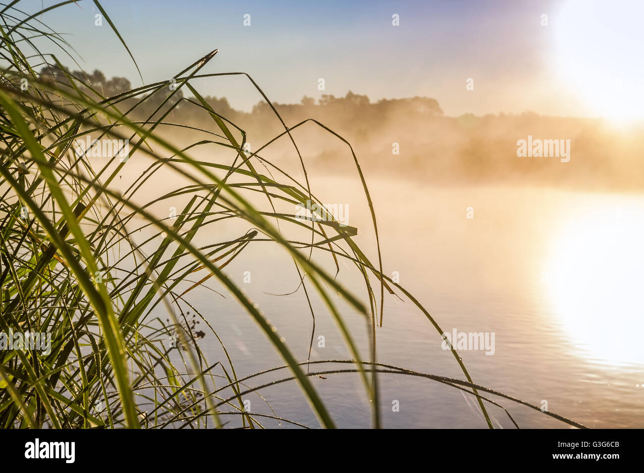 River landscape with sunrise Stock Photo - Alamy