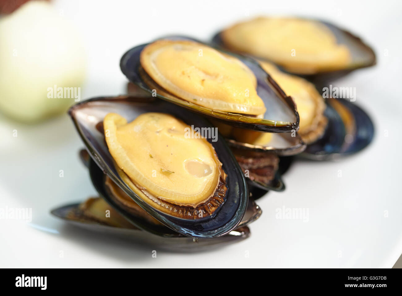 Fresh green lipped mussels green hi-res stock photography and images ...