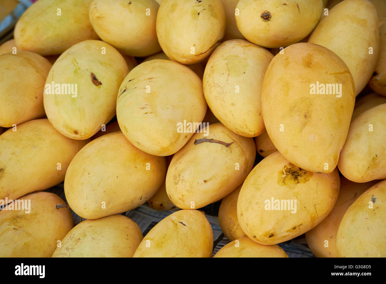yellow mango in Thailand Stock Photo - Alamy