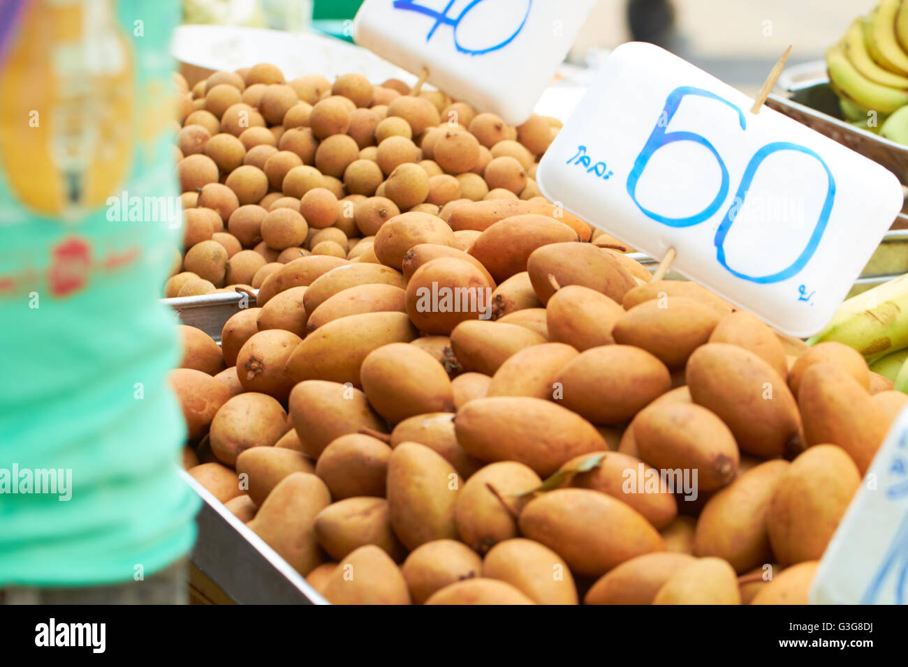 Marian tree hi-res stock photography and images - Alamy