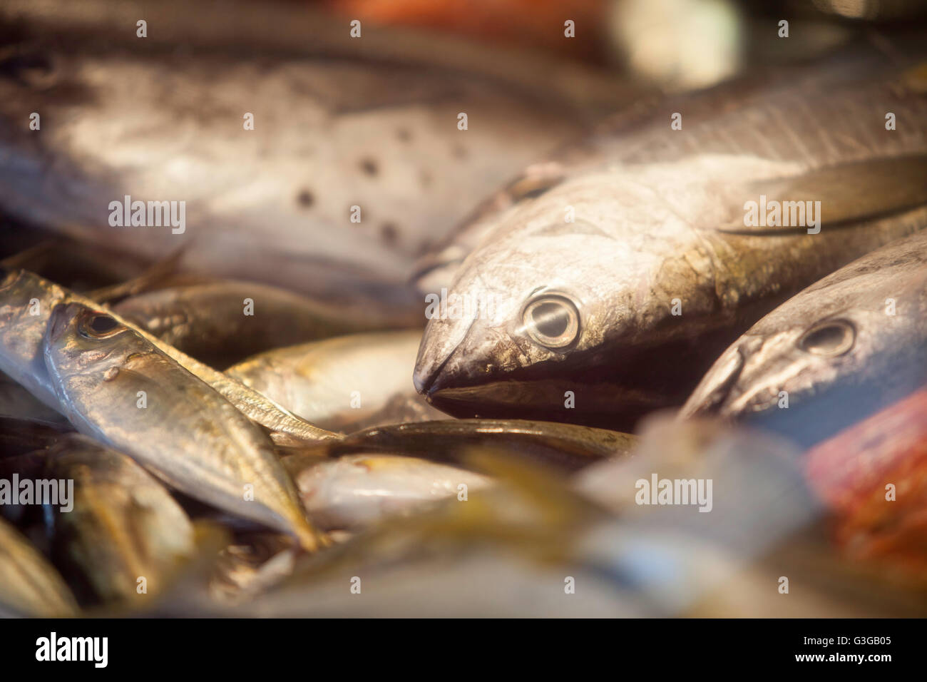 Scene in Chinatown, Honolulu, Oahu, Hawaii, fresh caught akule and aku ...