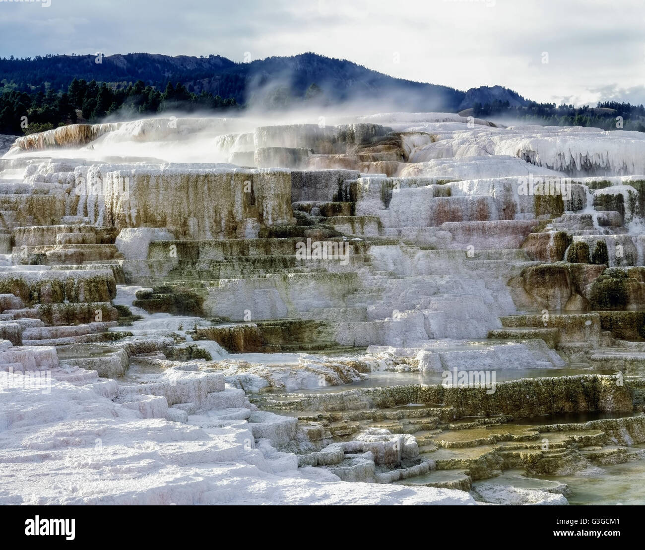 Yellowstone minerva terrace hi-res stock photography and images - Alamy