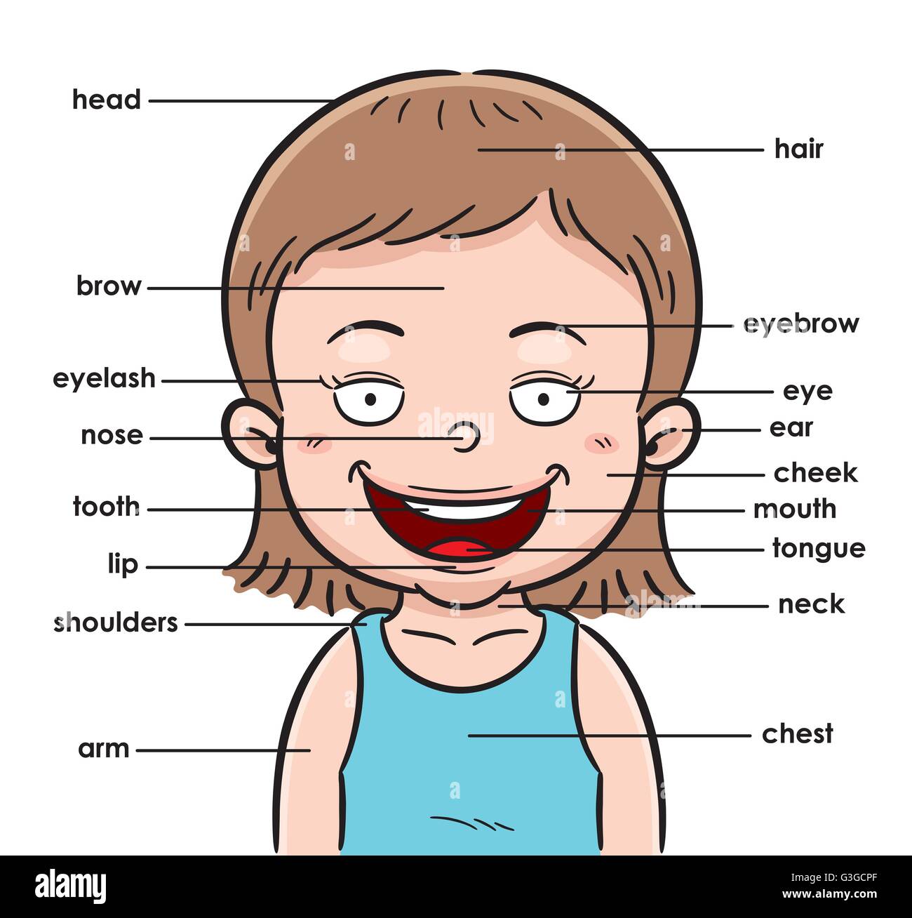 Vector illustration of vocabulary part of body Stock Vector Image & Art ...