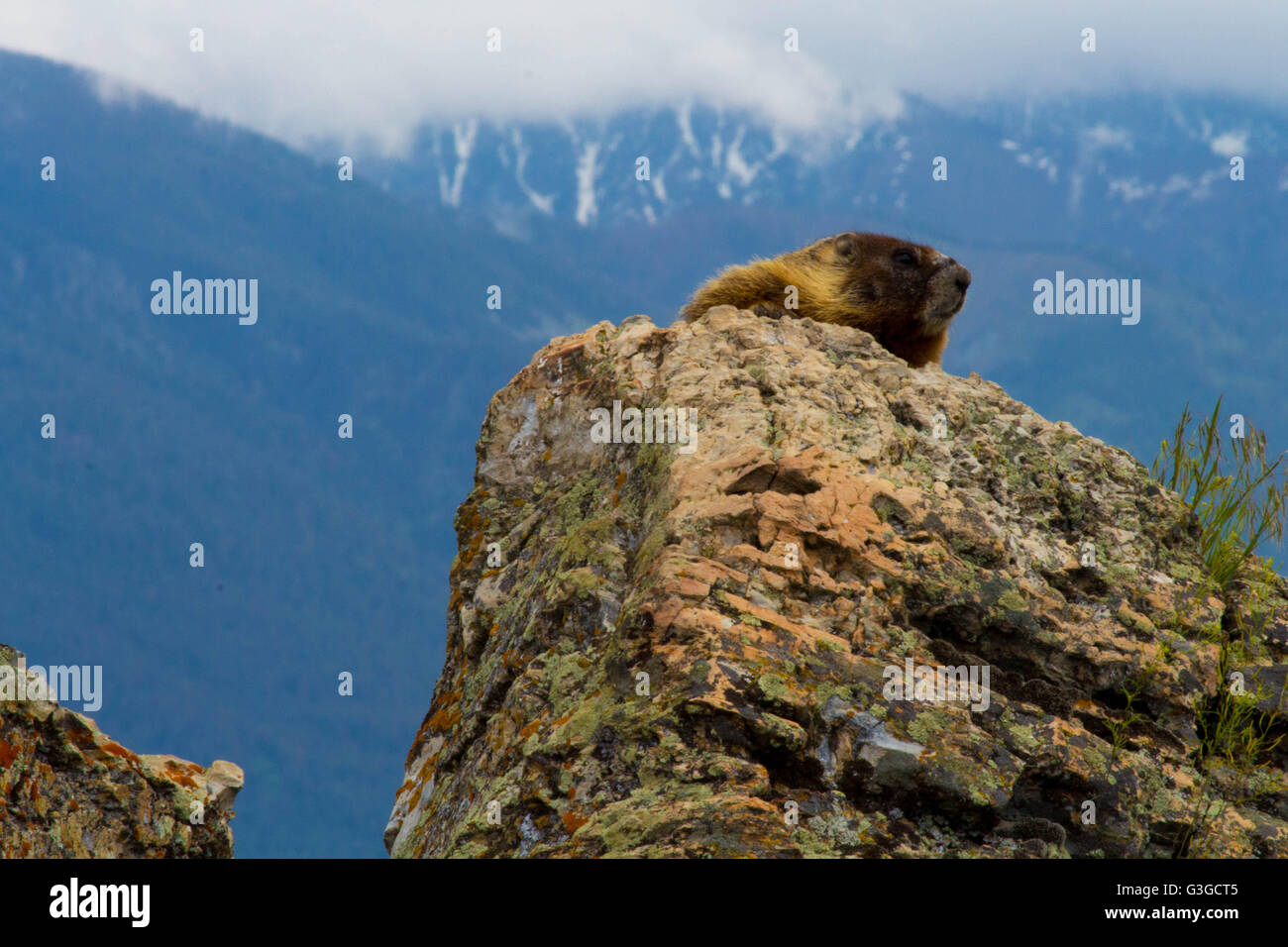 High rocky butte hi-res stock photography and images - Alamy