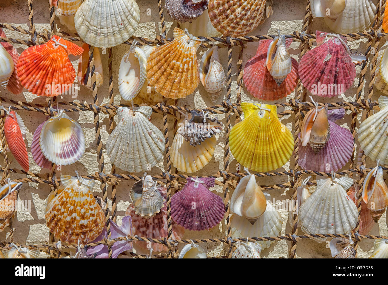 Curtain of seashells Stock Photo - Alamy