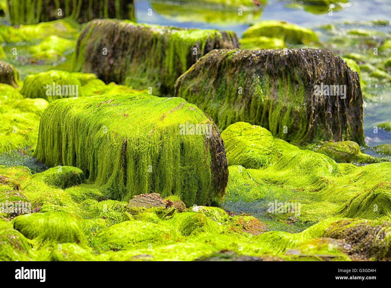 Properties of rocks hi-res stock photography and images - Alamy