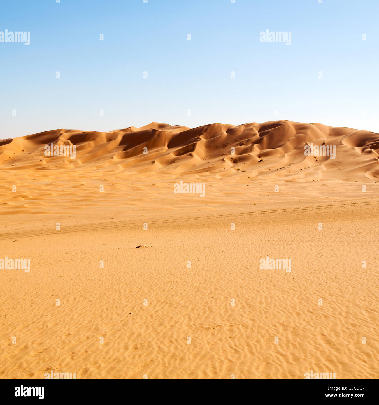 the empty quarter and outdoor sand dune in oman old desert rub al khali ...