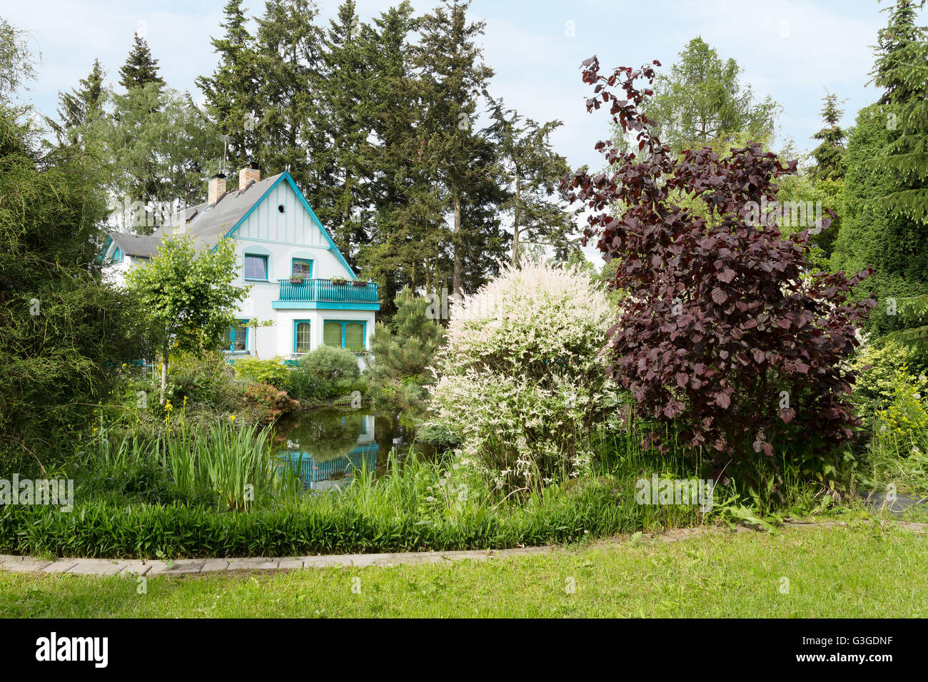 Beautiful luxury house situated in in spring garden, with conifers ...