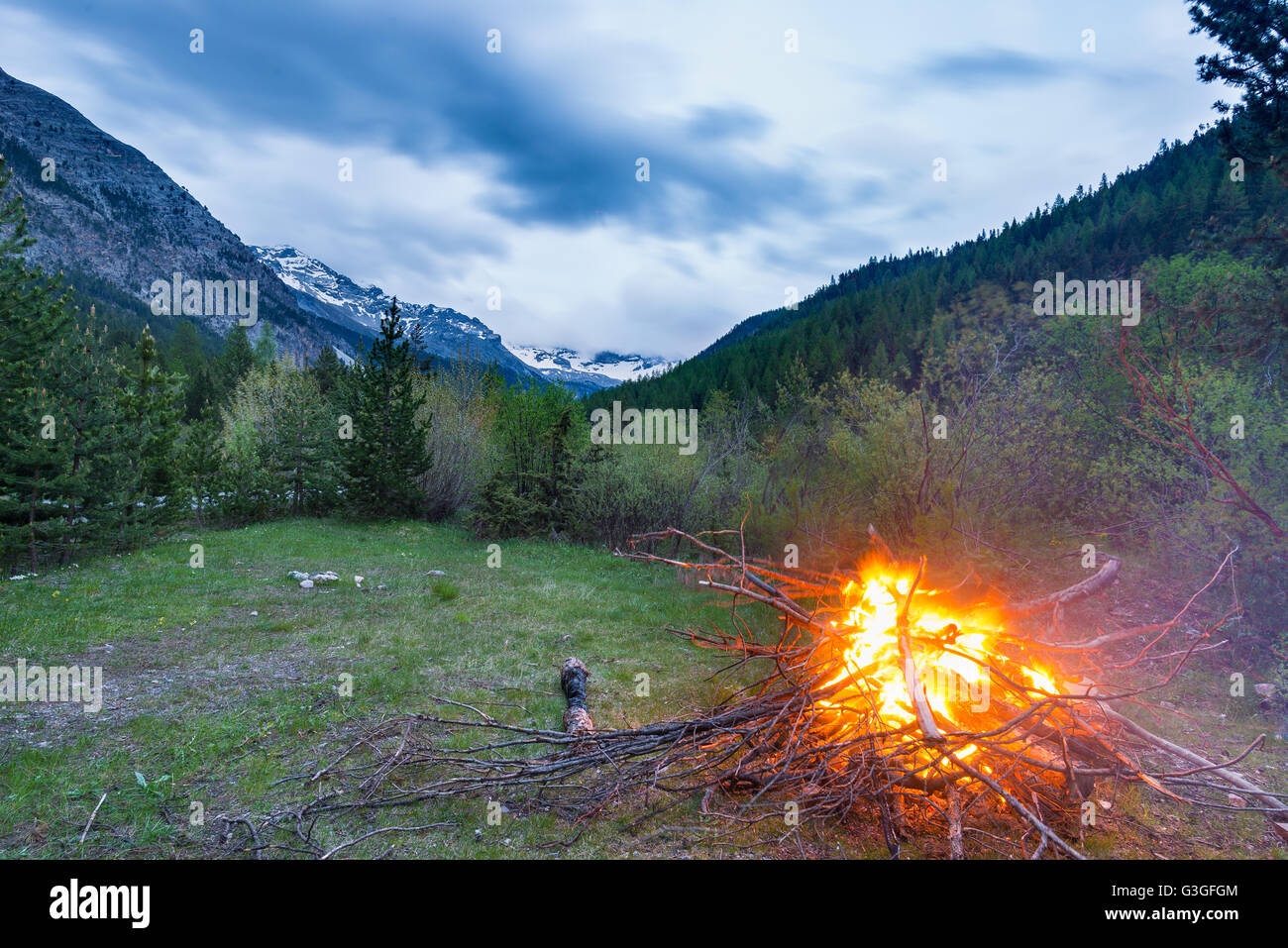 Burning camp fire into remote larch and pine tree woodland with high ...