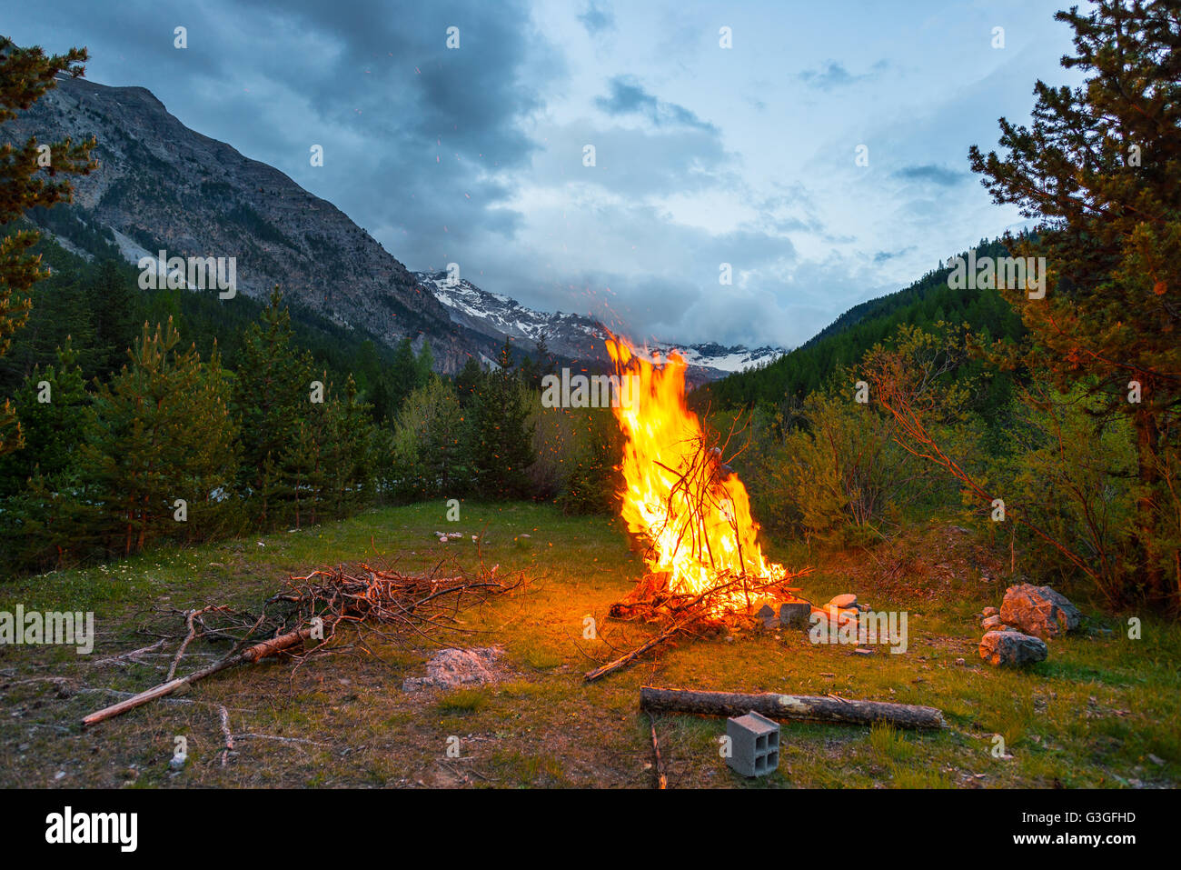 Burning camp fire into remote larch and pine tree woodland with high ...
