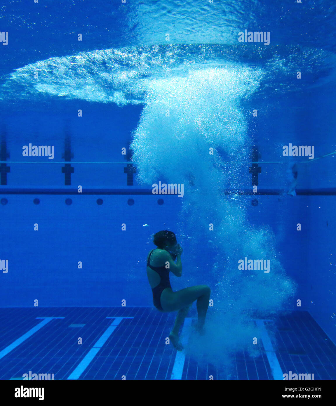 Day three british diving championships ponds forge international sports ...