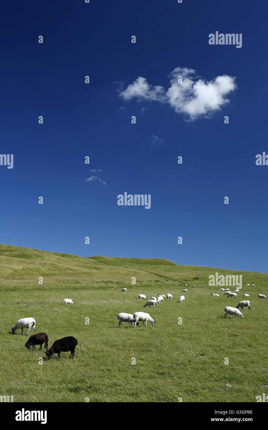 Iron age fort uffington castle hi-res stock photography and images - Alamy
