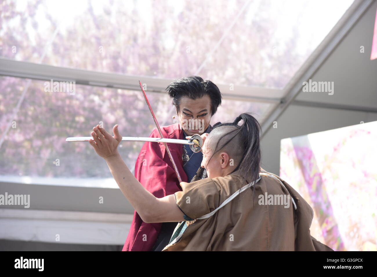 Hanami japan children hi-res stock photography and images - Alamy