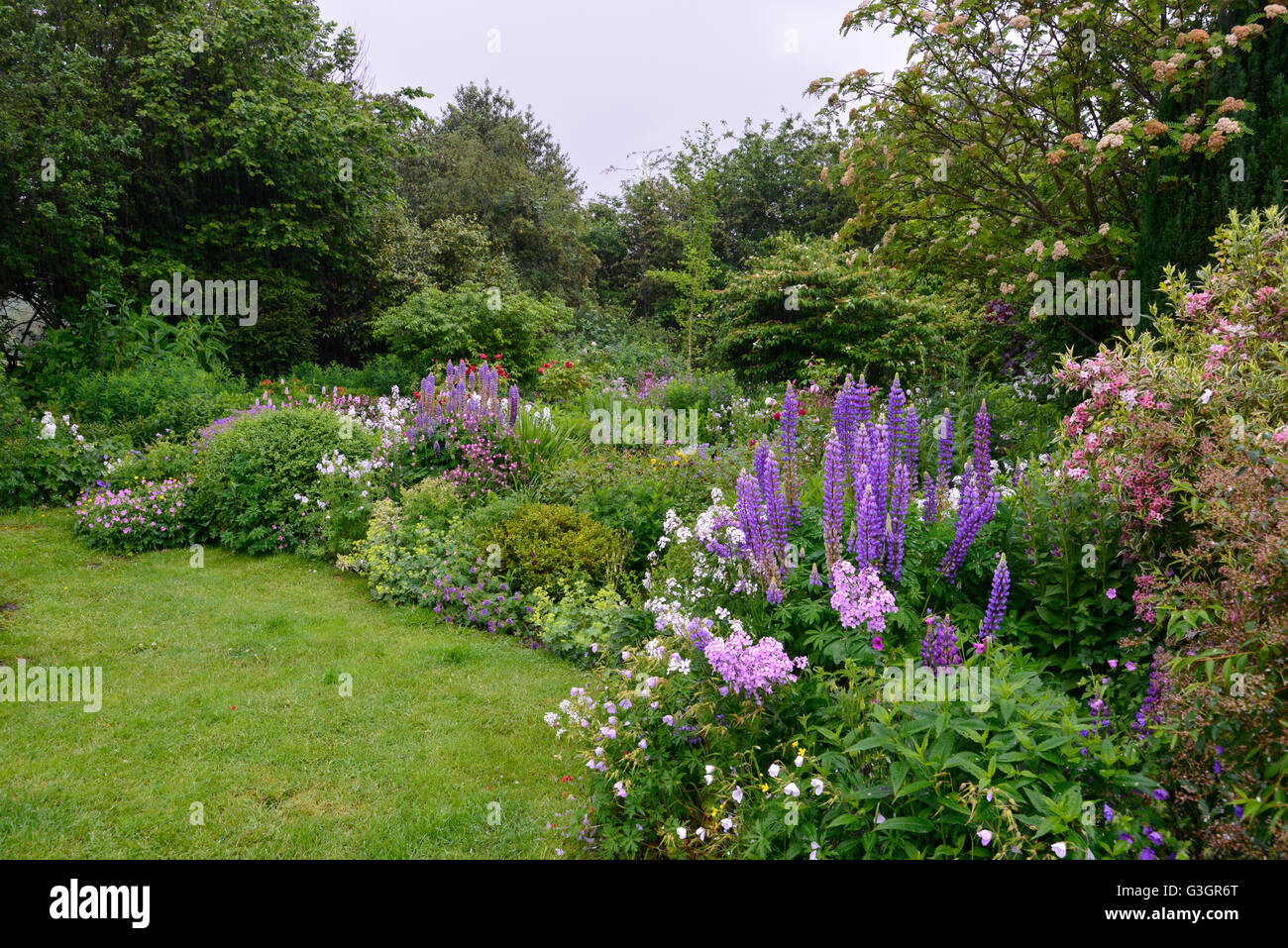 How Many Kinds Of Sweet Flowers Grow In An English Country Garden at ...