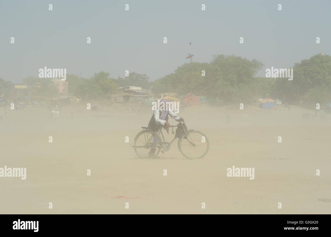 Allahabad, India. 21st May, 2016. A cyclist walks trough dust storm at ...
