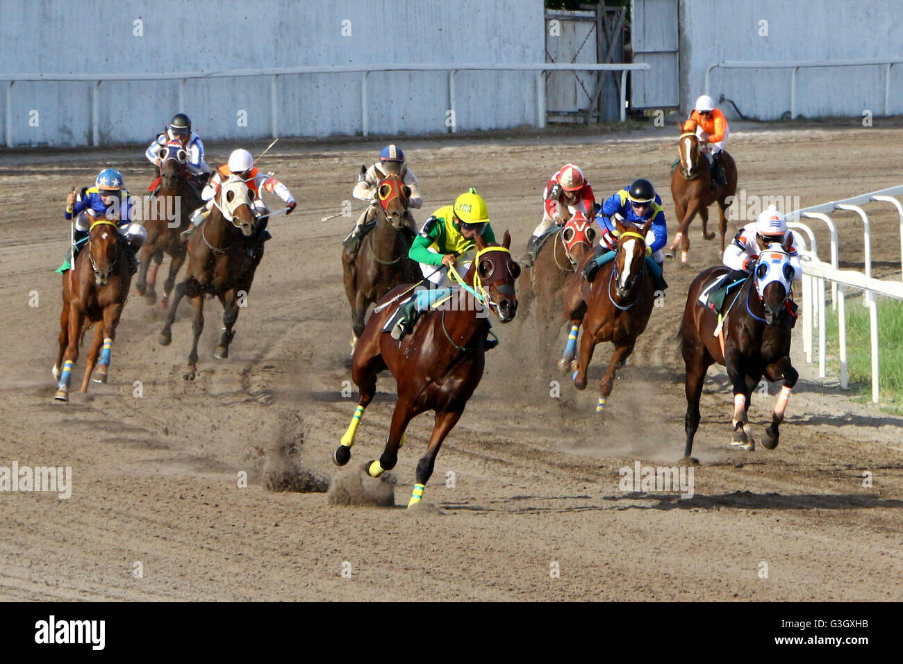 Cavite, Philippines. 15th May, 2016. Horse name “Radio Active” and ...
