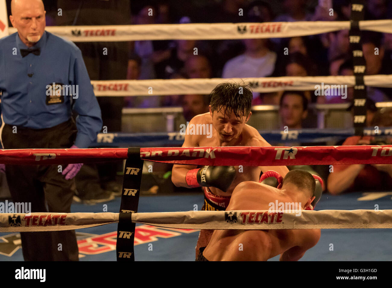 Boxing Match Madison Square Garden High Resolution Stock Photography ...