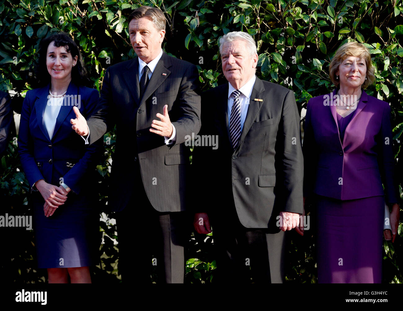 Pecar hi-res stock photography and images - Alamy
