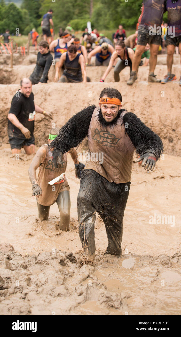 Tough Mudder obstacle course. Mile of Mud obstacle fun man dressed as ...