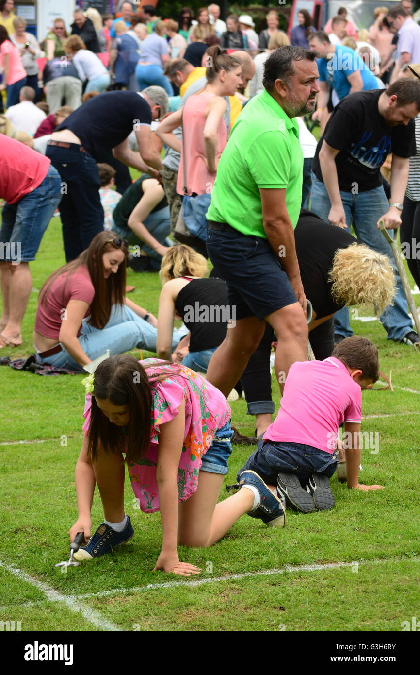 Worm charming willaston hi-res stock photography and images - Alamy