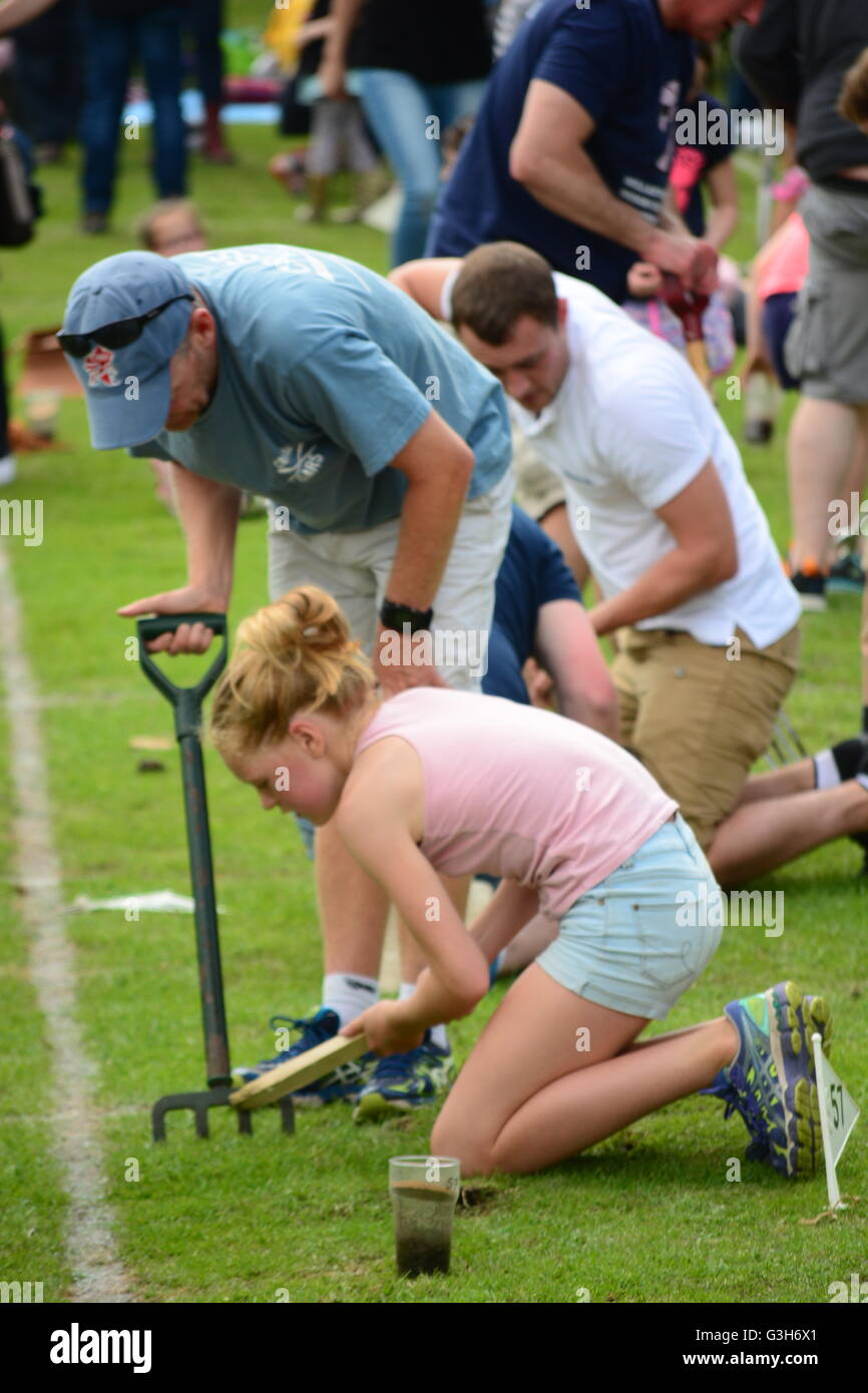 Worm charming uk hi-res stock photography and images - Alamy