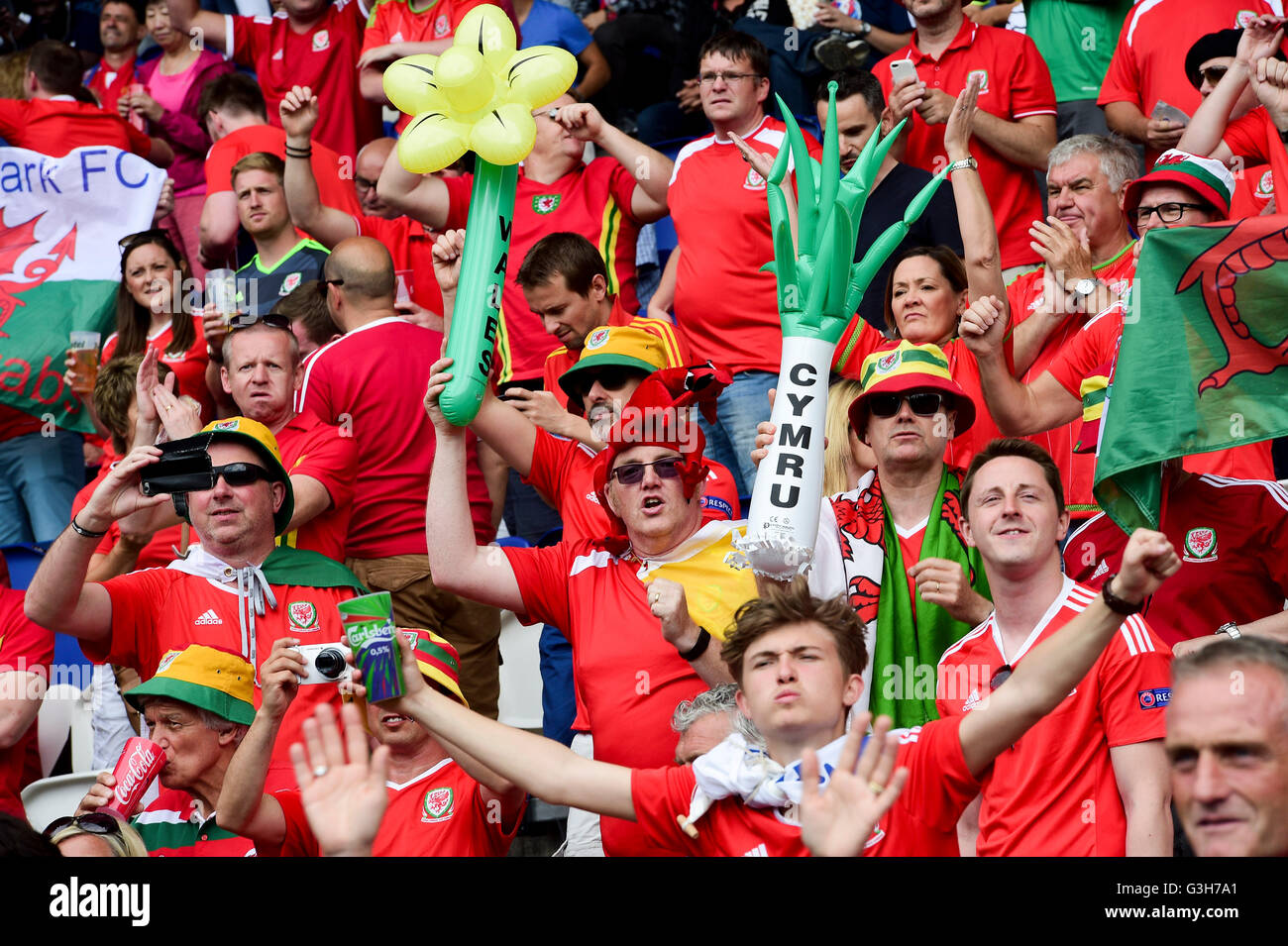 Welsh football fans hi-res stock photography and images - Alamy