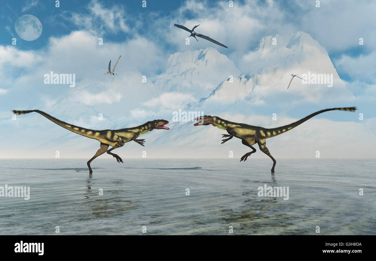 Confrontation dinosaur extinct extinct hi-res stock photography and ...