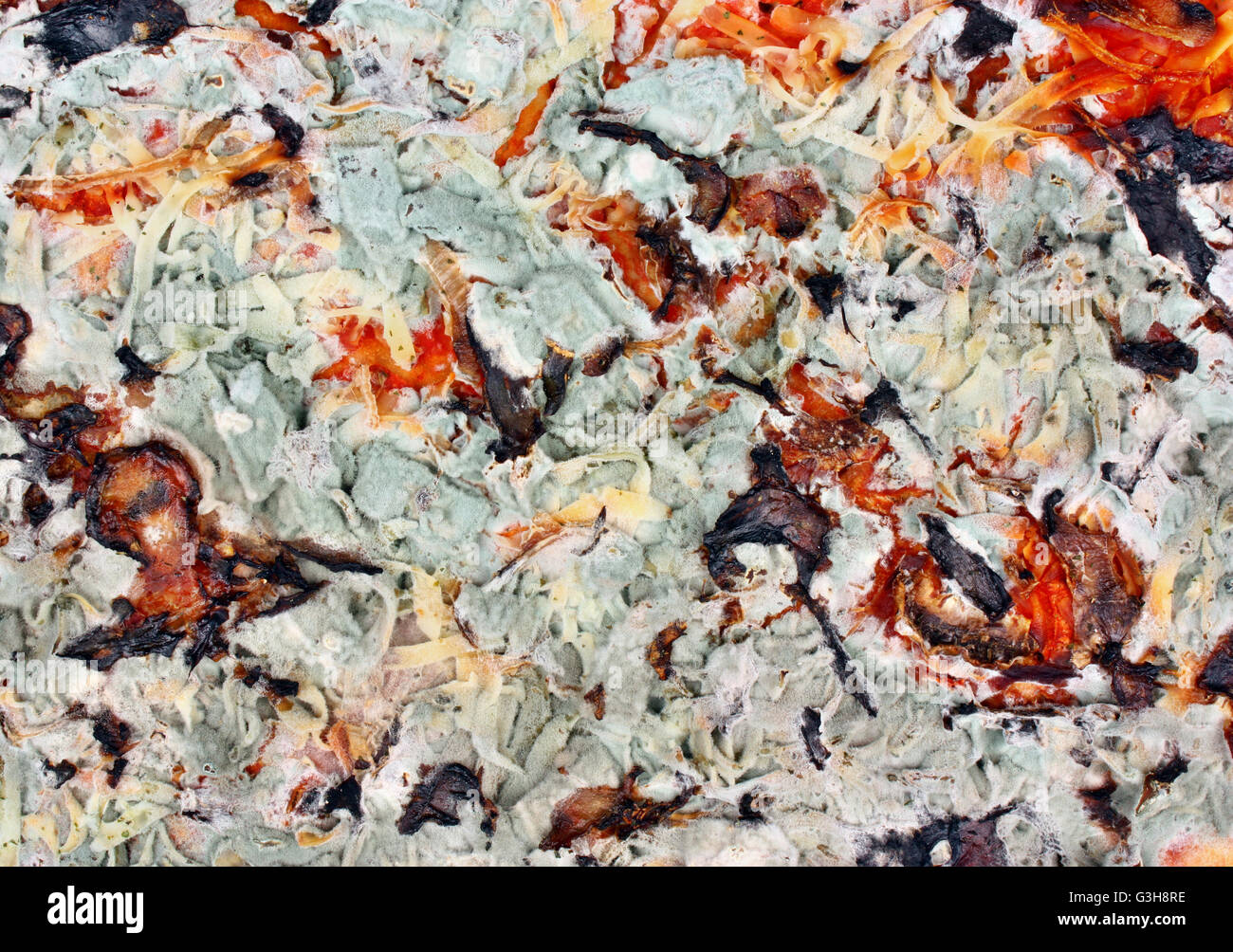 Old moldy pizza background vertical. Food poisoning Stock Photo - Alamy