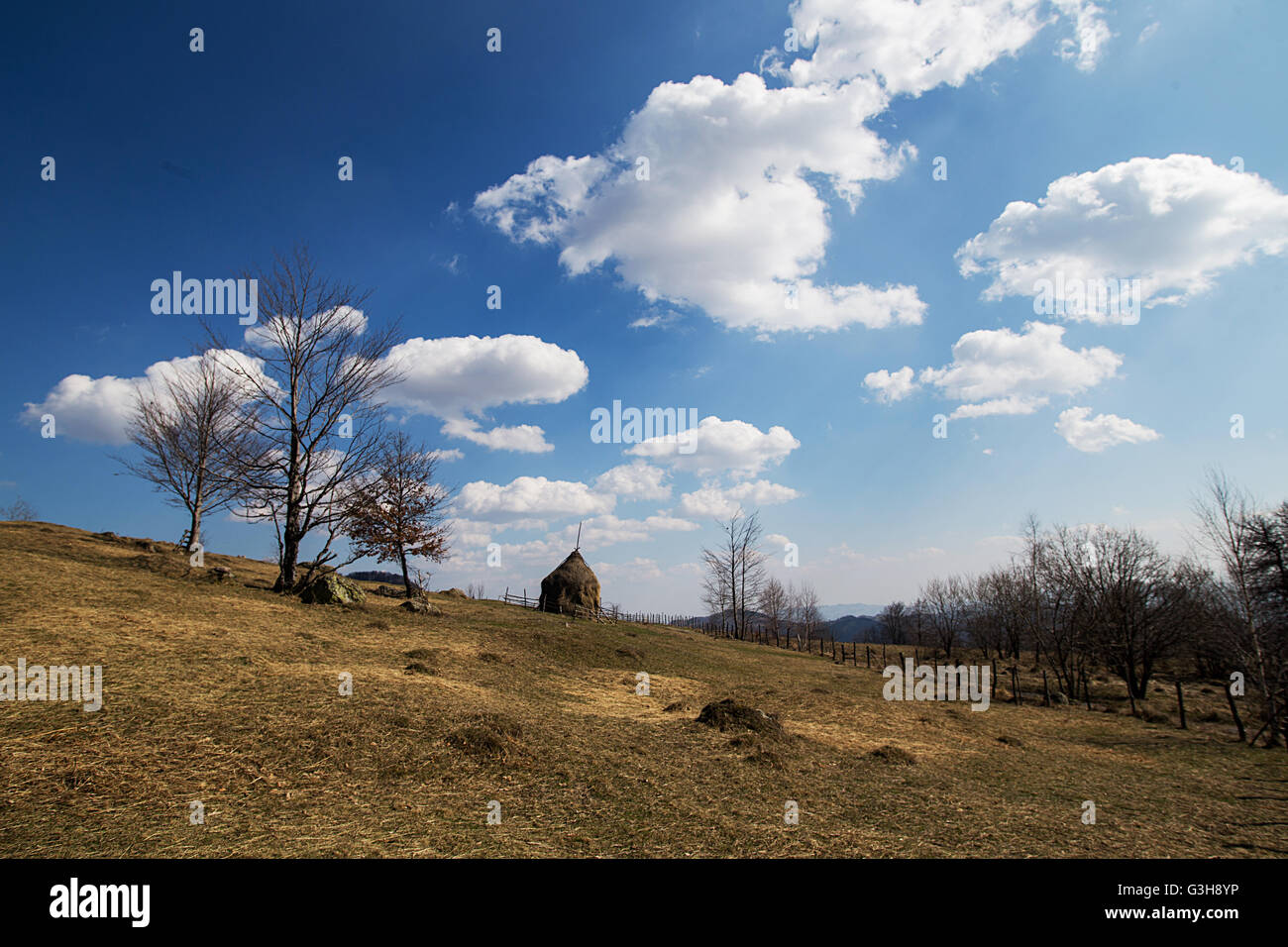 Panoramic view environment in hi-res stock photography and images - Alamy