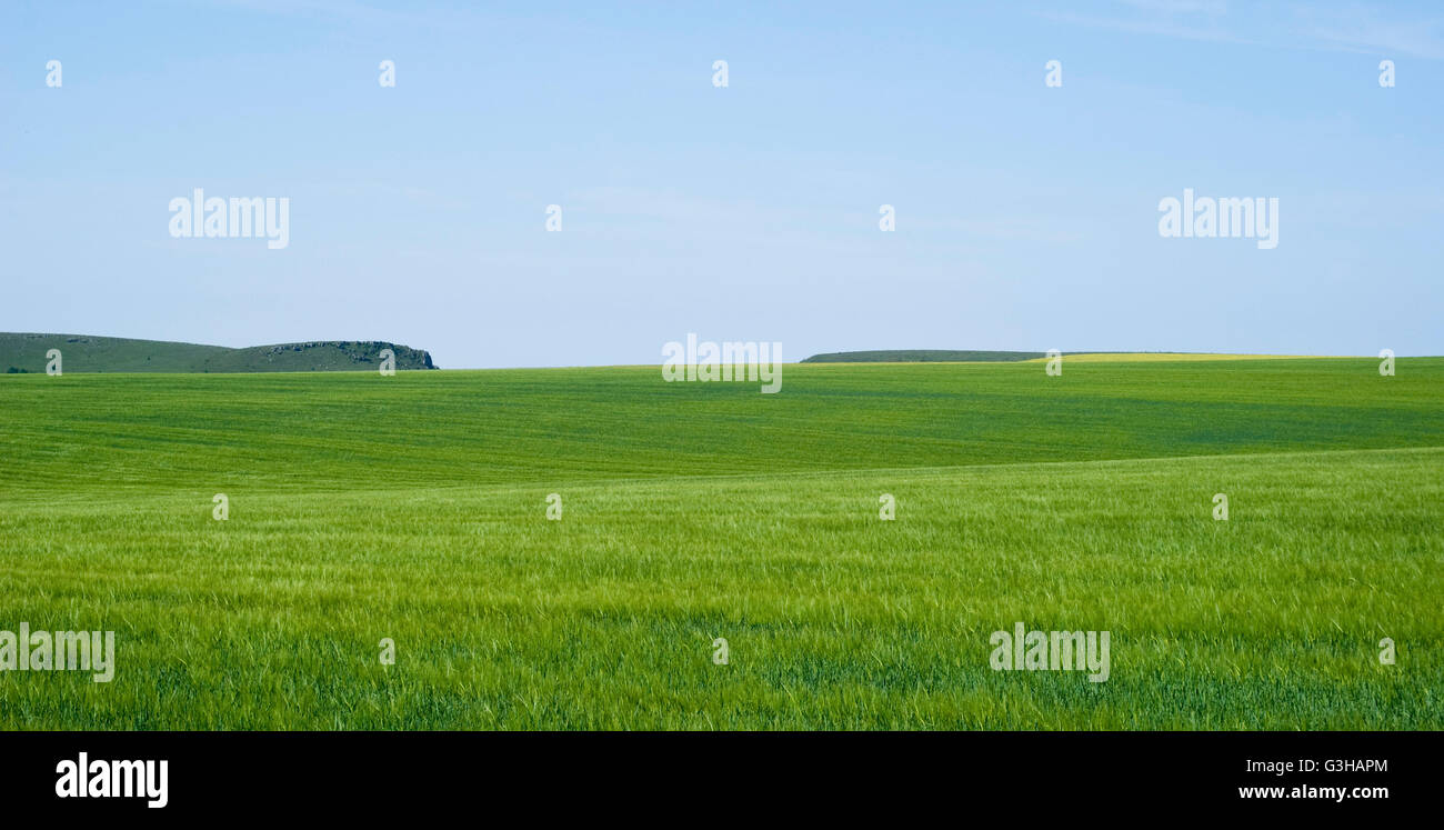 Agricultural landscape in Podolia region of Ukraine Stock Photo - Alamy