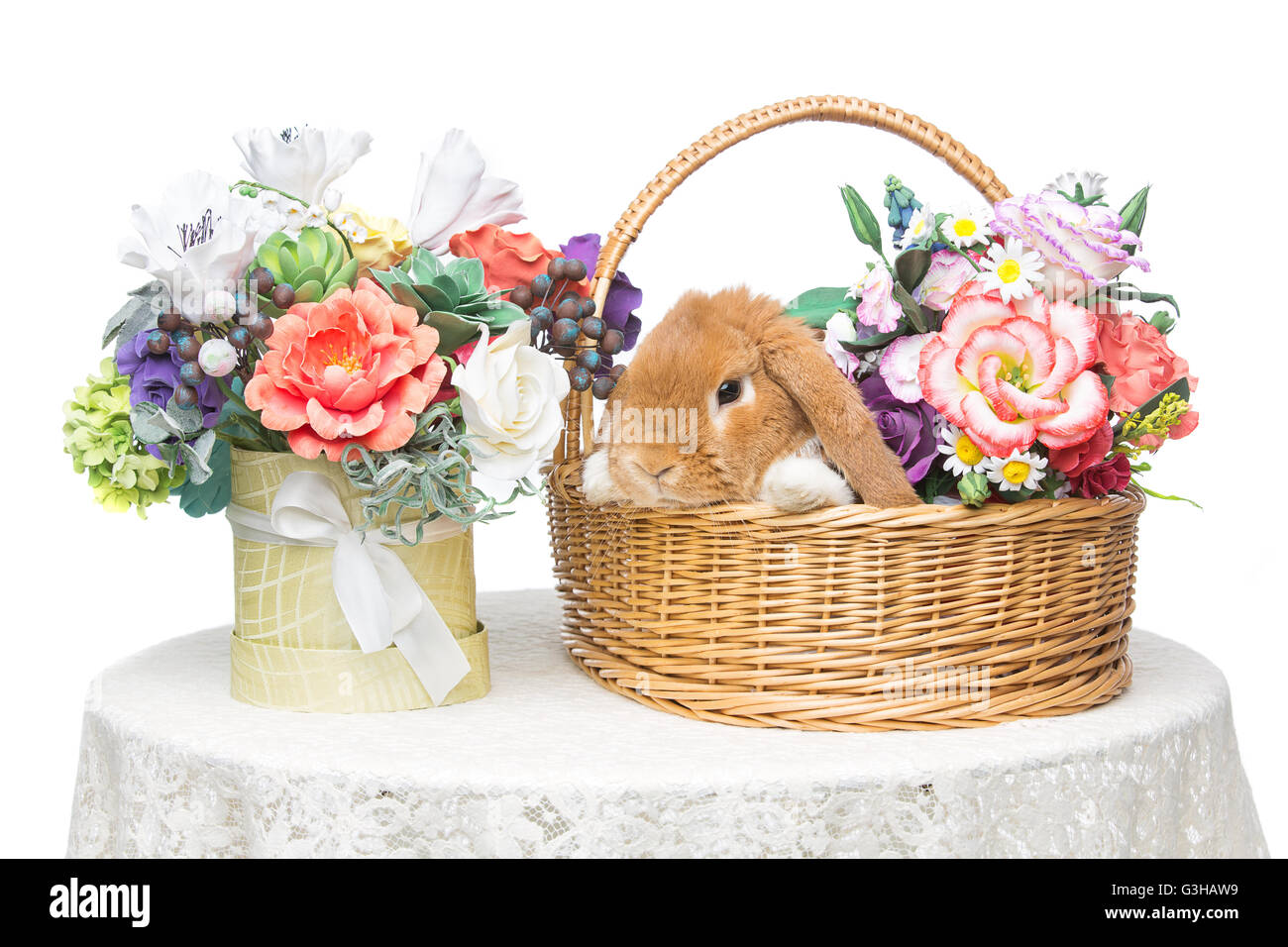 Beautiful domestic rabbit Stock Photo - Alamy