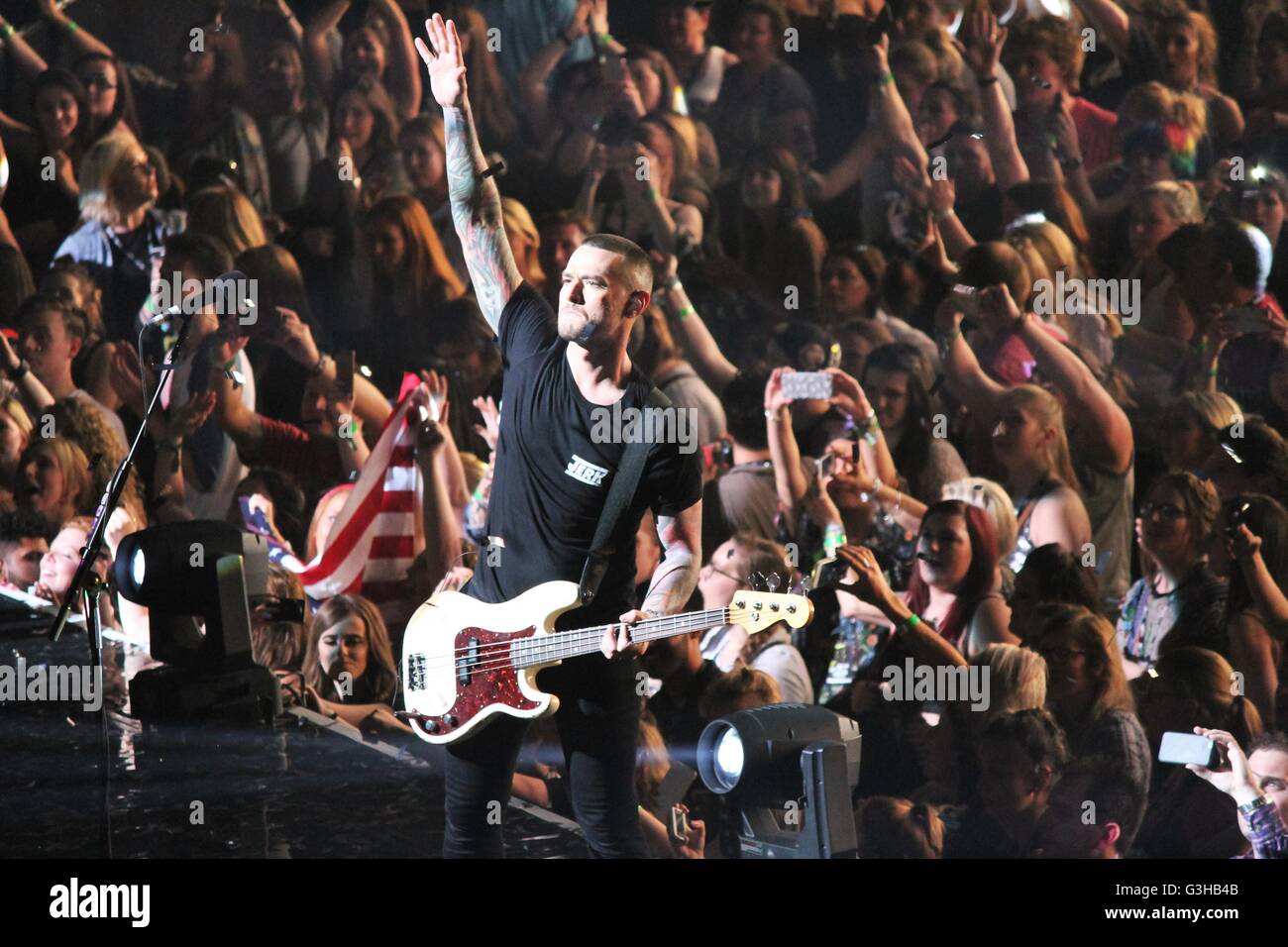 Pigs pigs pigs pigs pigs pigs pigs concert hi-res stock photography and ...