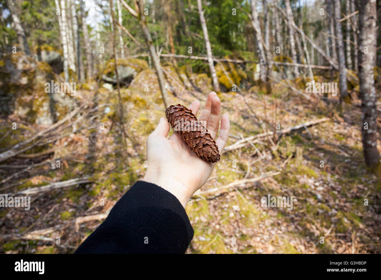 Hand and forest hi-res stock photography and images - Alamy